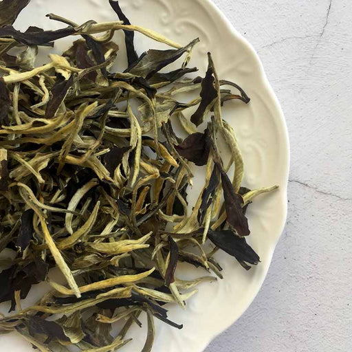 SO tea | Organic Tea — SO TEA