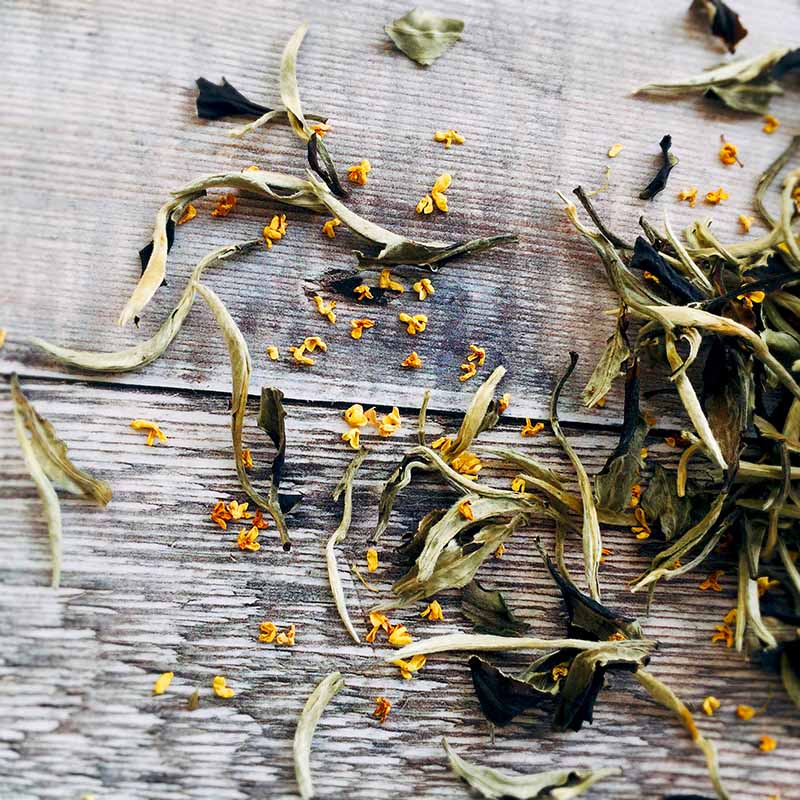 xox BUNDLE - Osmanthus Teas | SO tea — SO TEA
